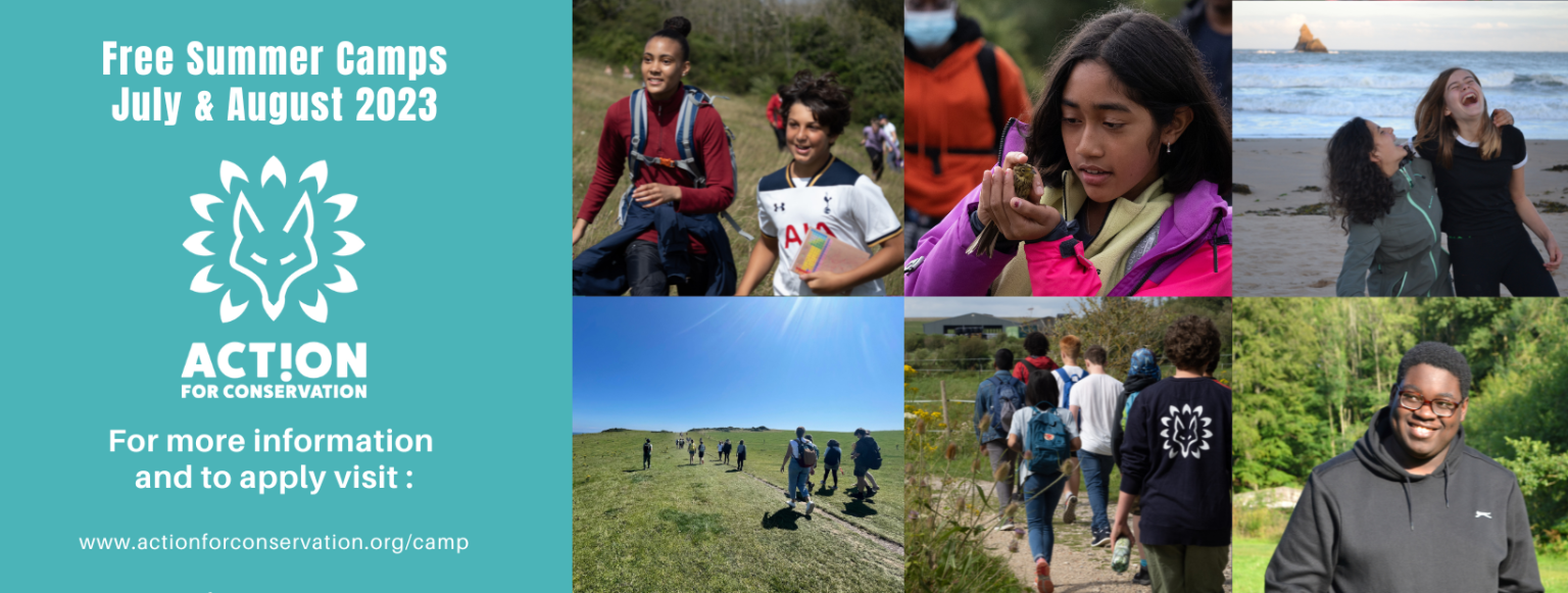 Action for Conservation's FREE Summer Camps - Fairfield High School